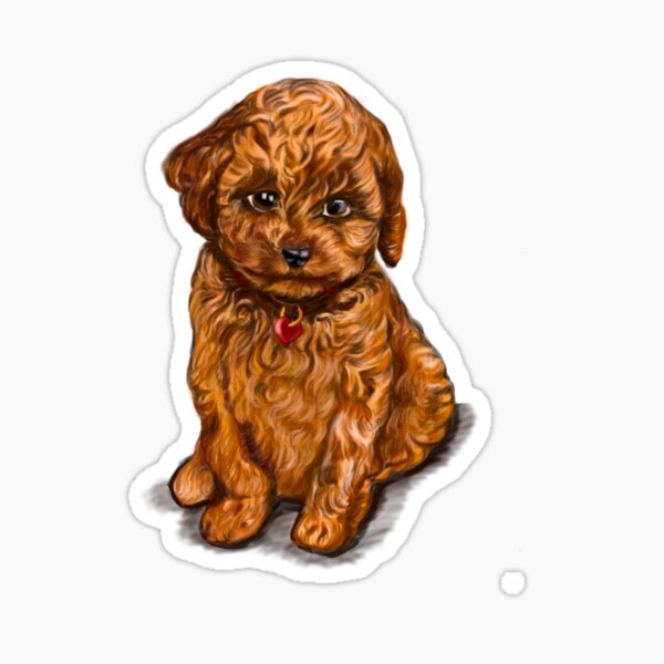 Cavapoo Merch & Gifts for Sale | Redbubble