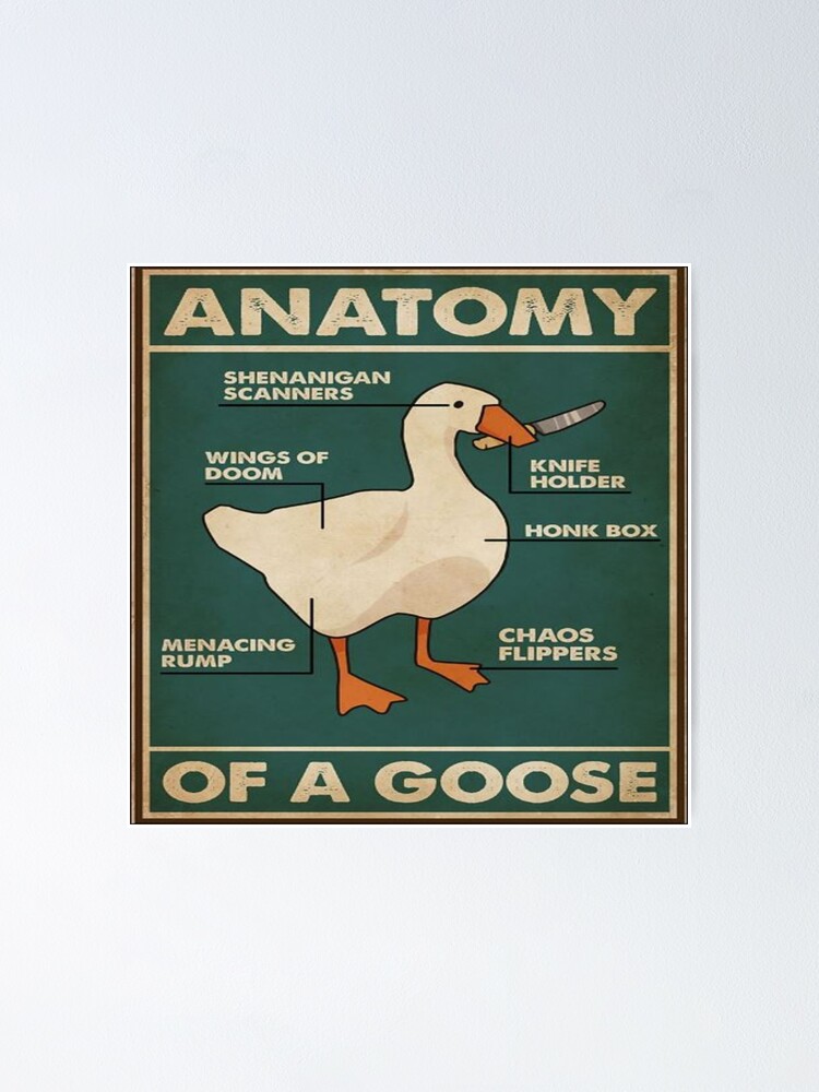 "anatomy of a goose " Poster by Mavroudi | Redbubble