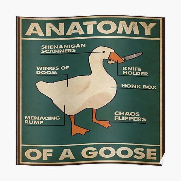 "anatomy of a goose " Poster by Mavroudi | Redbubble
