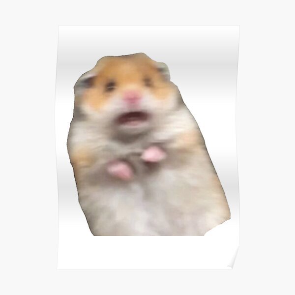 Scared Hamster Posters | Redbubble