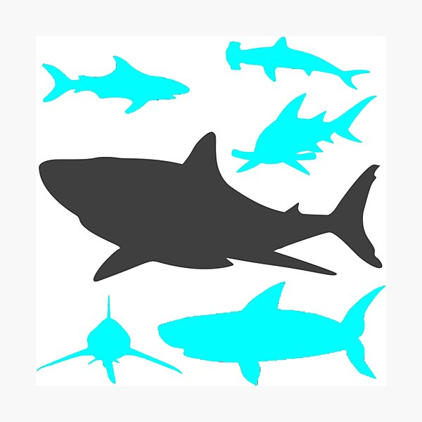 Lámina fotográfica «silueta de tiburon 2» de GlennLandasWSS1 | Redbubble
