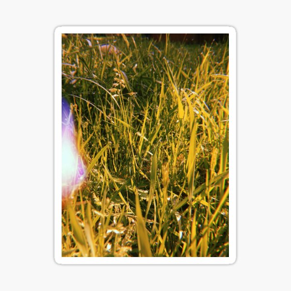 "Magical Green Grass" Sticker by abigail-hempell | Redbubble
