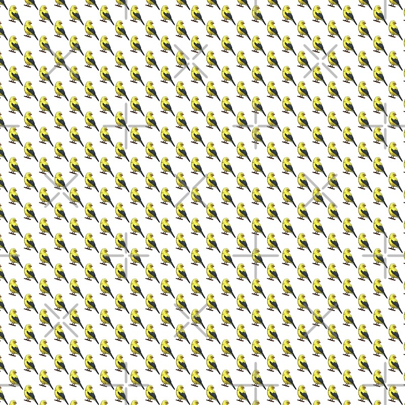 "Finch Pattern" by addicusdesigns | Redbubble
