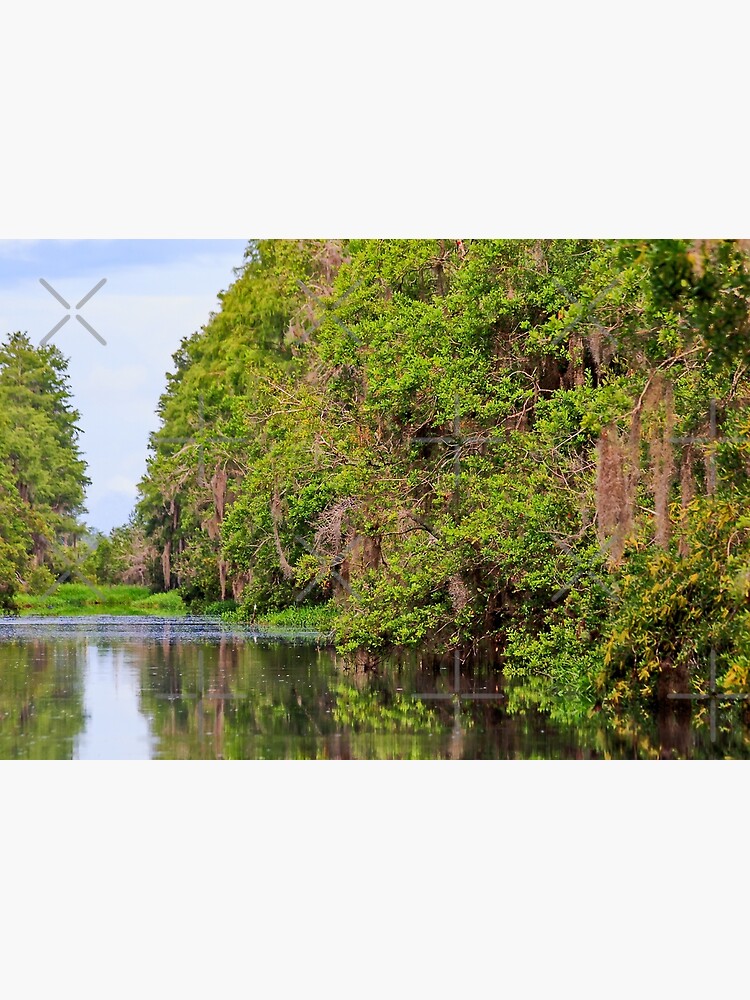 "Colorful Swamp Waterway" Poster for Sale by Kbytes | Redbubble