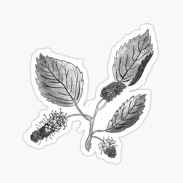 "Plane mulberry" Sticker by Lottillus | Redbubble
