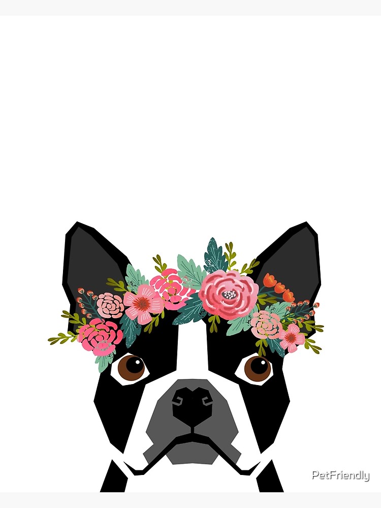 Boston Terrier floral crown - boston terrier, flower crown, flower, pink, pink floral, cute dog ...