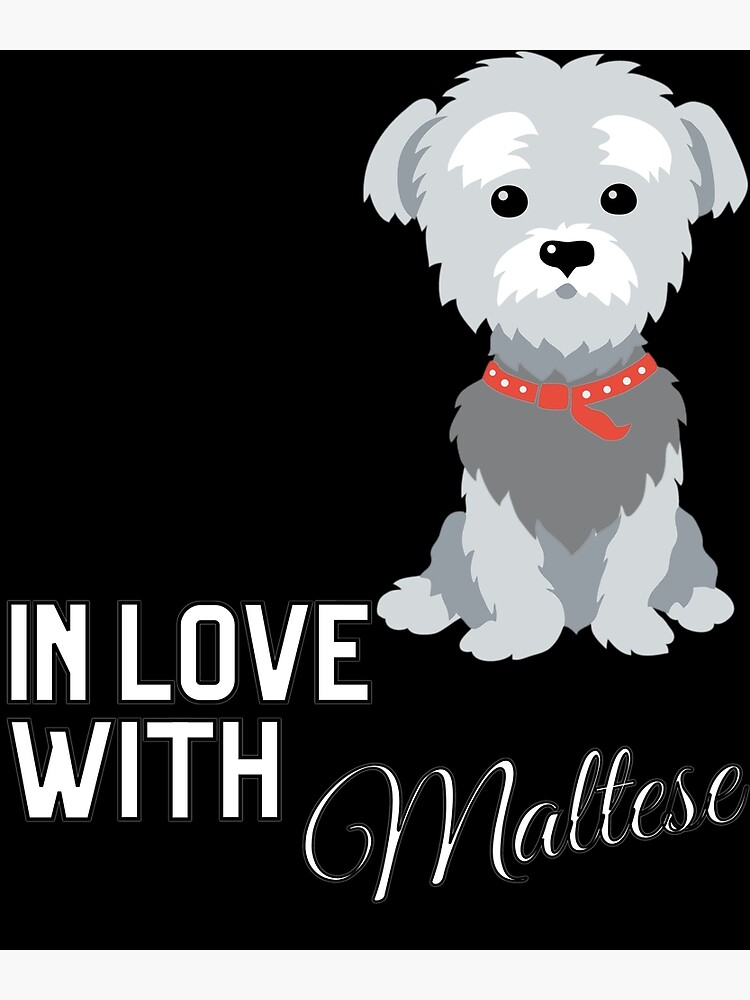 "In love with Maltese" Poster for Sale by VDimitrijevic | Redbubble