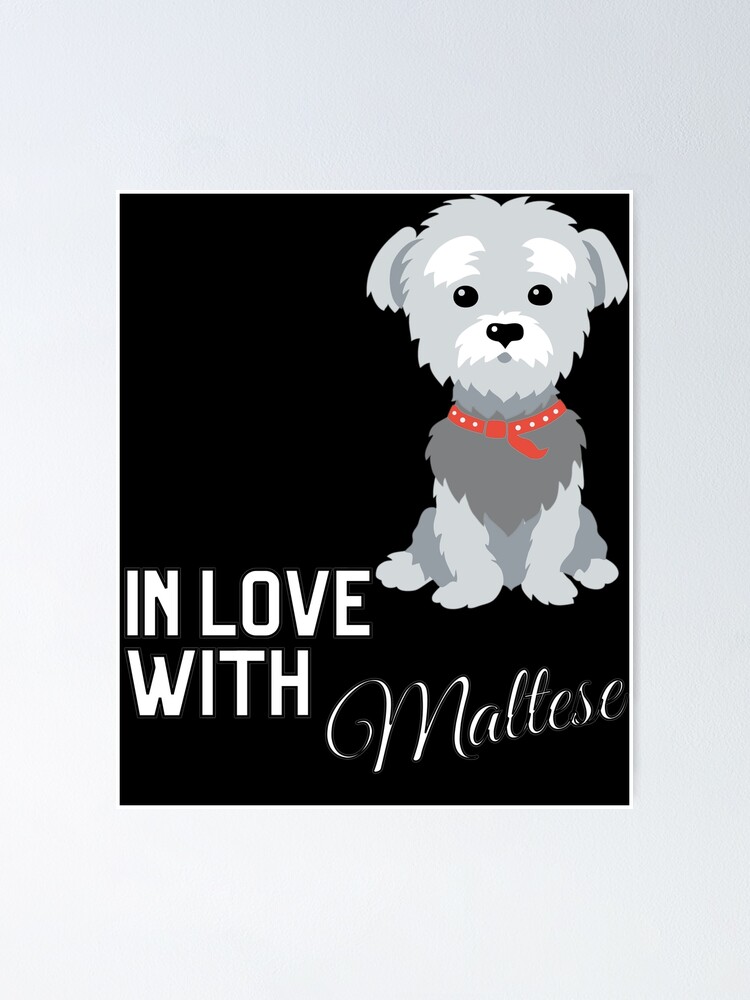"In love with Maltese" Poster for Sale by VDimitrijevic | Redbubble