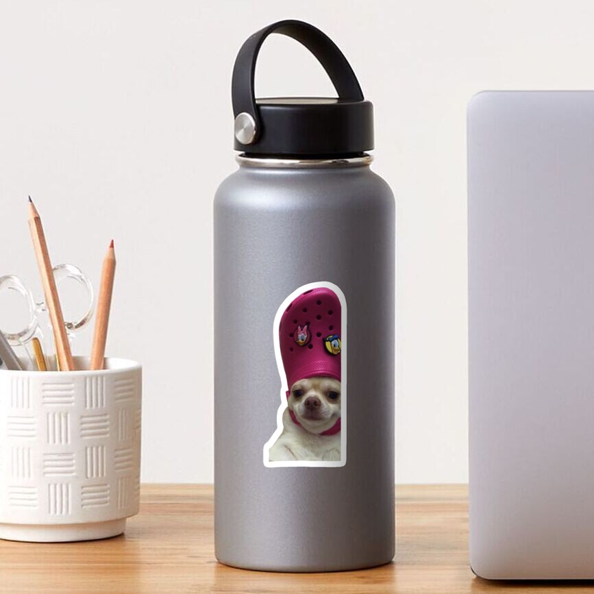 "Dog Wearing a Croc" Sticker for Sale by danimora | Redbubble