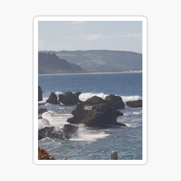 Amalee Gifts & Merchandise for Sale | Redbubble