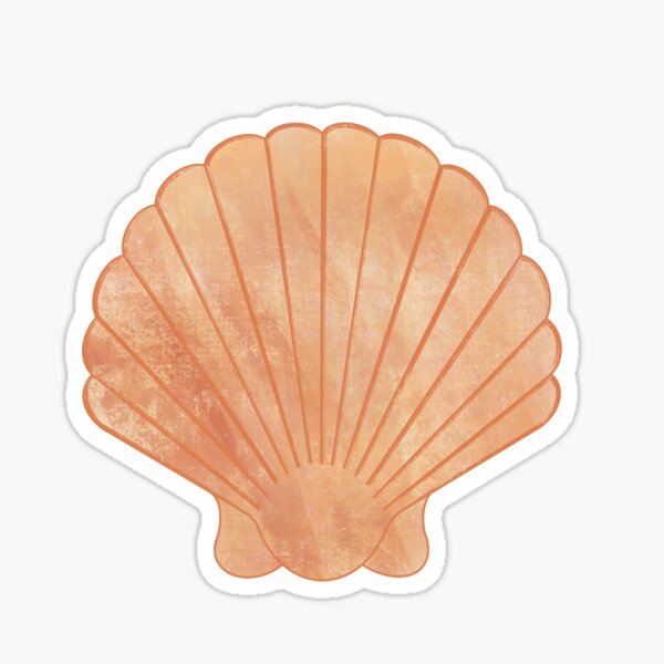 "Sea shell" Sticker for Sale by eclecticcolors | Redbubble