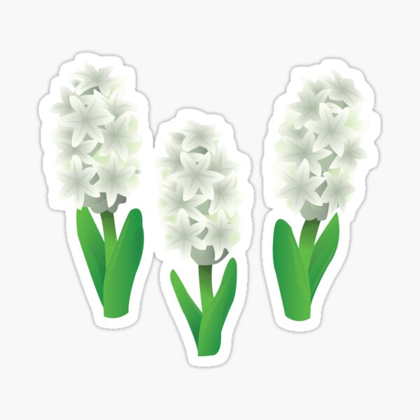 "White Hyacinth" Sticker for Sale by TheMajesticGoat | Redbubble