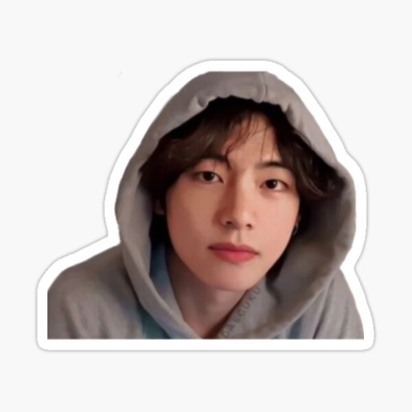 "Tae Tae BTS" Sticker for Sale by Max199716 | Redbubble
