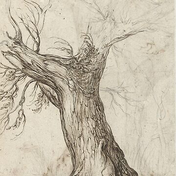 "Study of a Tree Trunk, 16th Century " Art Board Print for Sale by ...