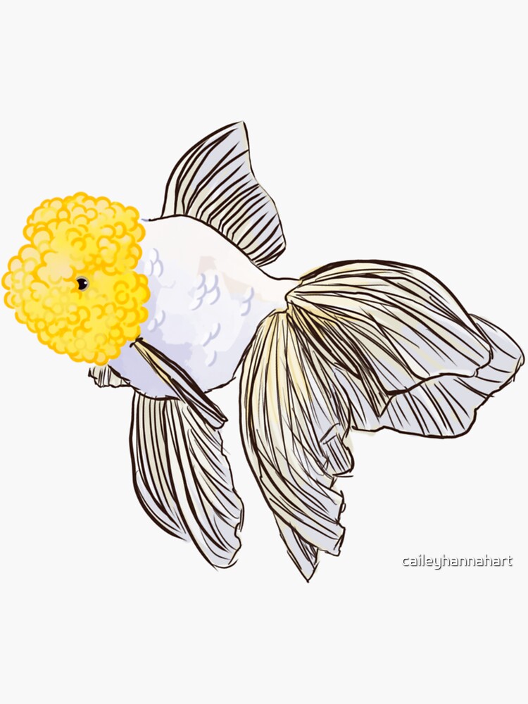 "Oranda Goldfish Sticker" Sticker for Sale by caileyhannahart | Redbubble