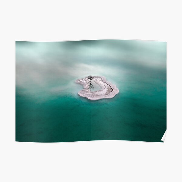 "Dead Sea" Poster for Sale by abstractleaf | Redbubble