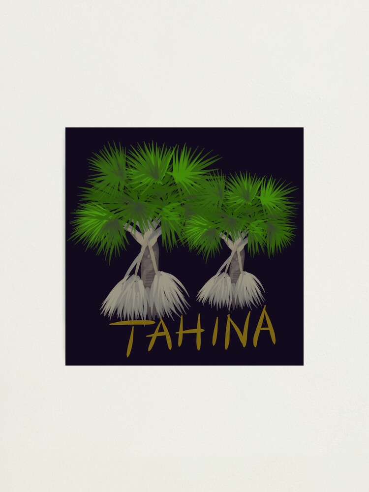 "Die legendäre gefährdete Tahina Spectabilis Madagascan Palm ...