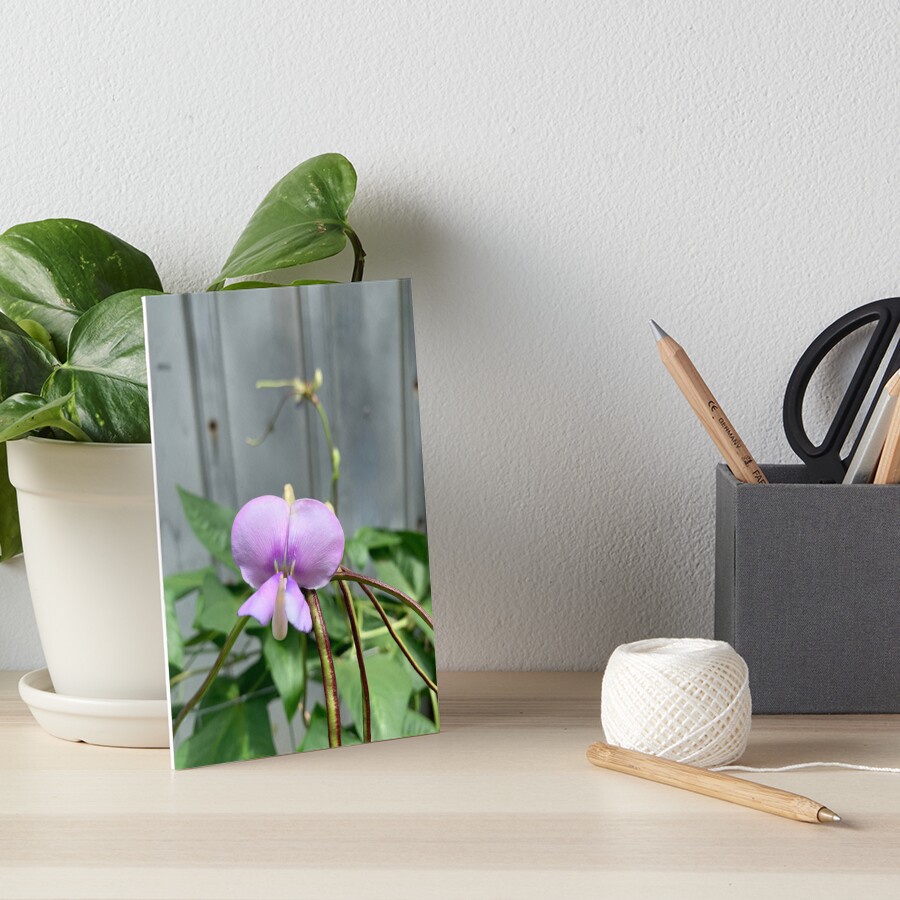 "Sitaw Flower" Art Board Print for Sale by Magandangbagay | Redbubble