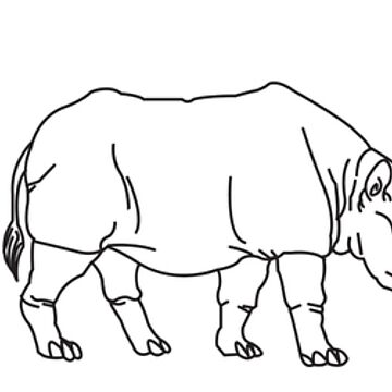 "MOCA Animals" Photographic Print for Sale by kyleandrewprice | Redbubble