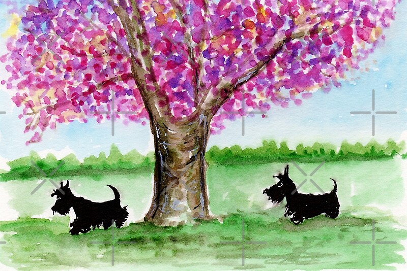 "Two Scottie Dogs" by archyscottie | Redbubble