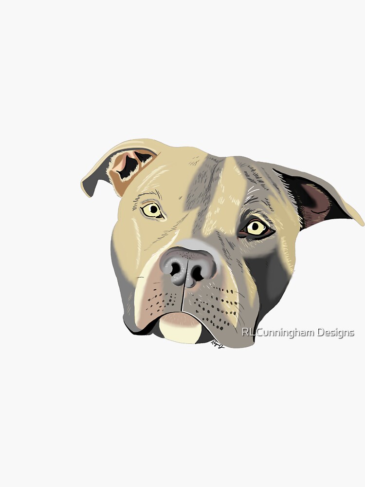 "Blue Nose Pitbull" Sticker for Sale by RockyZArt | Redbubble