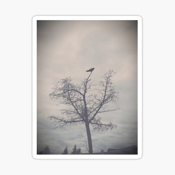 "Edgar Allan Crow" Sticker by AquaLemonade | Redbubble