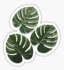 Palm Leaf: Stickers | Redbubble