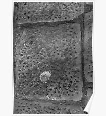 Fossil Fuel Posters | Redbubble