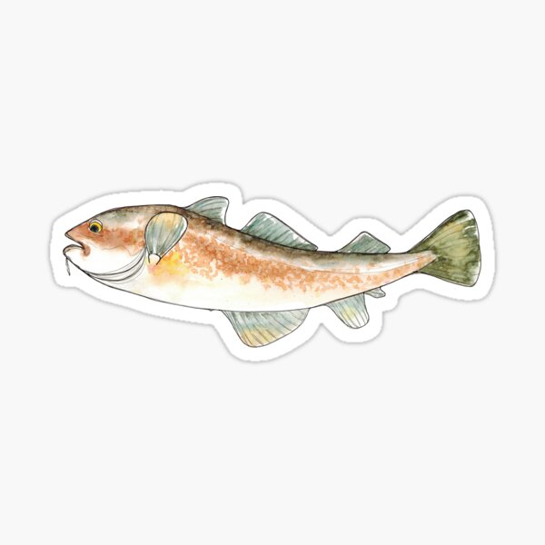"Watercolor hand drawn illustration of Cod fish" Sticker by ...