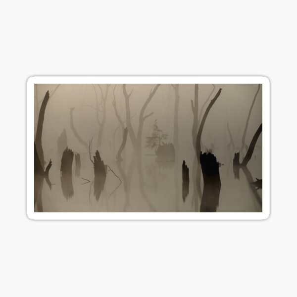 "Swamp secrets" Sticker for Sale by PaulaMcManus | Redbubble