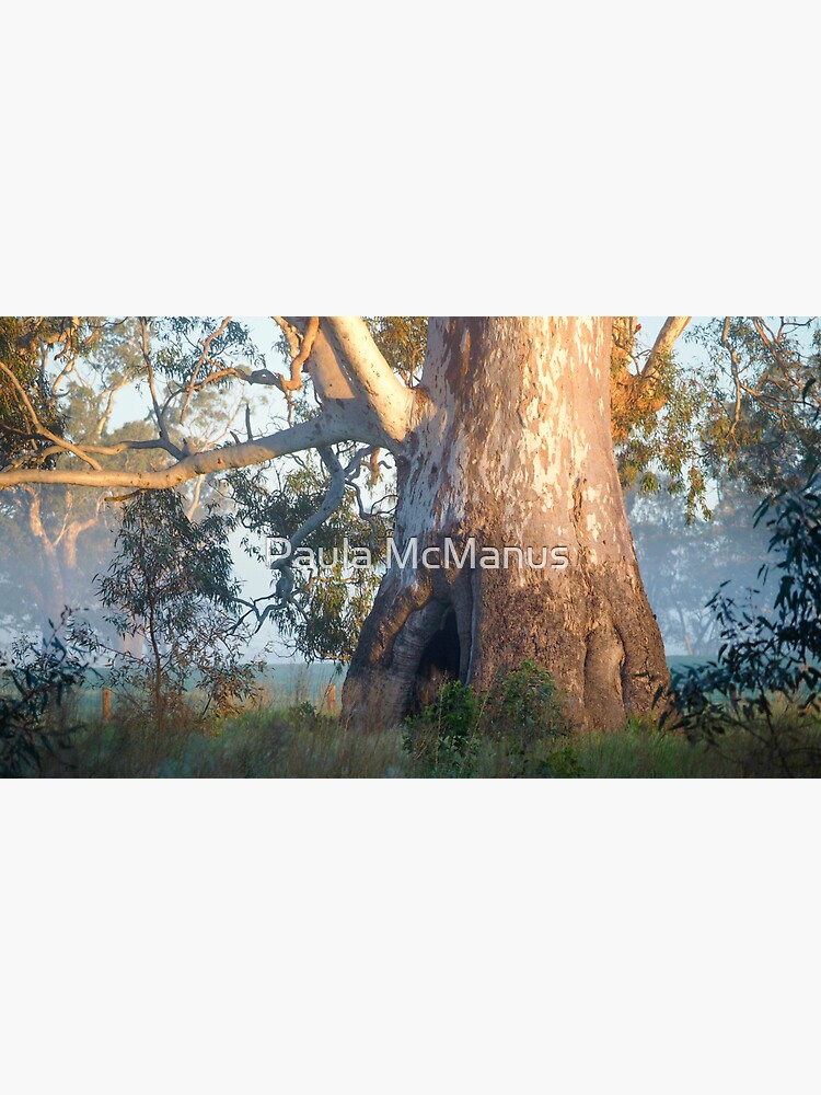 "Big Red" Sticker by PaulaMcManus | Redbubble