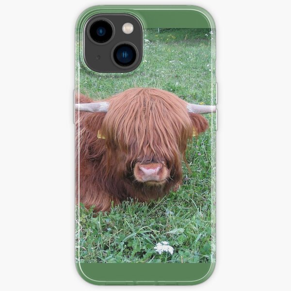 "Lazy Highland Cattle" iPhone Case for Sale by BellamyDes | Redbubble