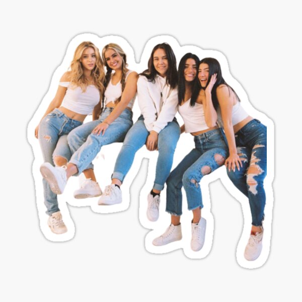 "The Hype House Girls " Sticker for Sale by CraftyCreative2 | Redbubble