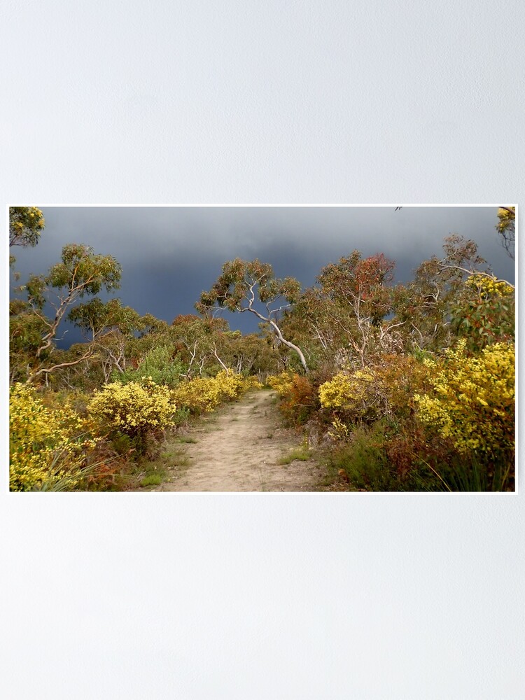 Póster «Reserva de Flora y Fauna Manning» de Seesee | Redbubble