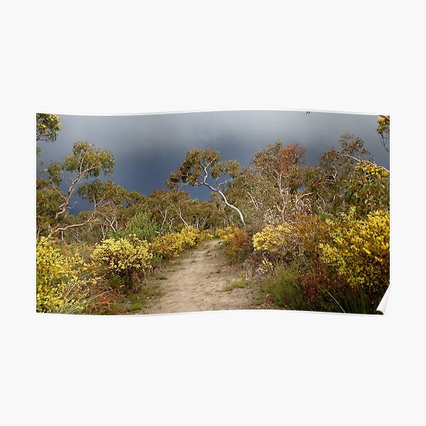 Póster «Reserva de Flora y Fauna Manning» de Seesee | Redbubble