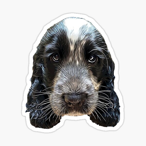"Cocker Spaniel Blue Roan Puppy Dog" Sticker for Sale by ElegantCat ...