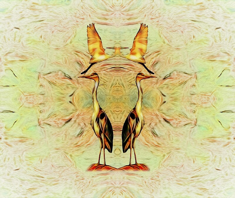 "Birds in symmetry 2" by Guardi71 | Redbubble