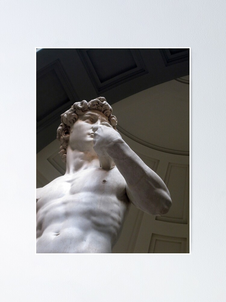 "The Statue Of David" Poster by catssykes | Redbubble