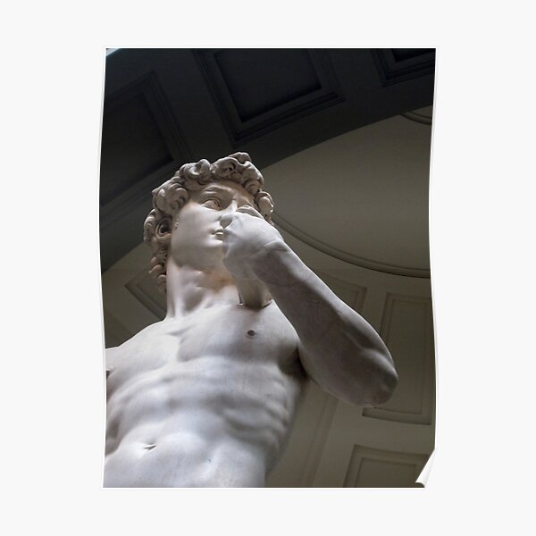 "The Statue Of David" Poster by catssykes | Redbubble