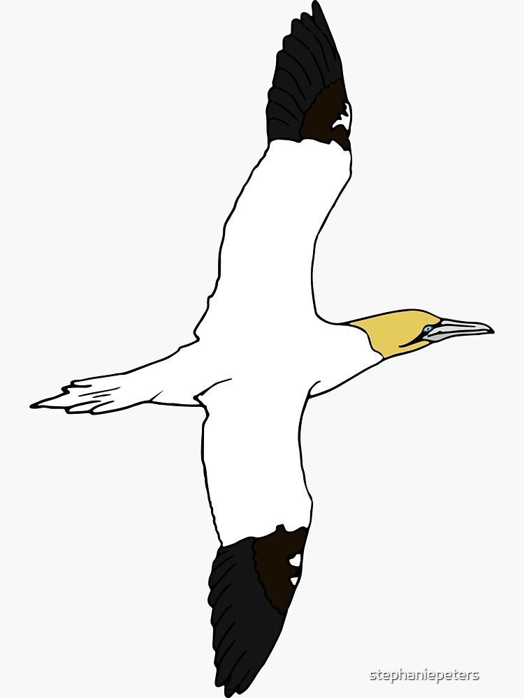 "Northern Gannet Flying left to right" Sticker by stephaniepeters ...