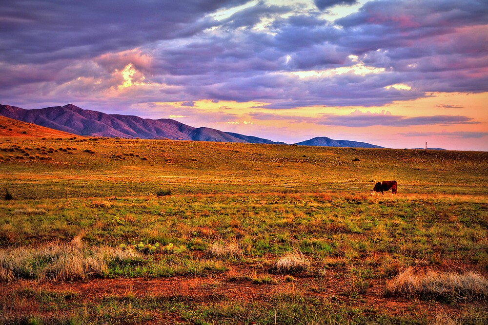 "Sunset Pasture" by K D Graves Photography | Redbubble
