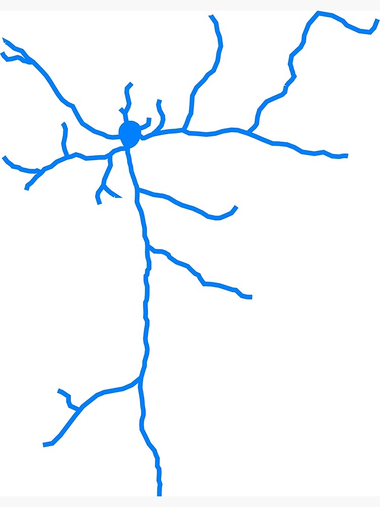 "Blue fluorescent neuron drawing" Poster by kzsg | Redbubble