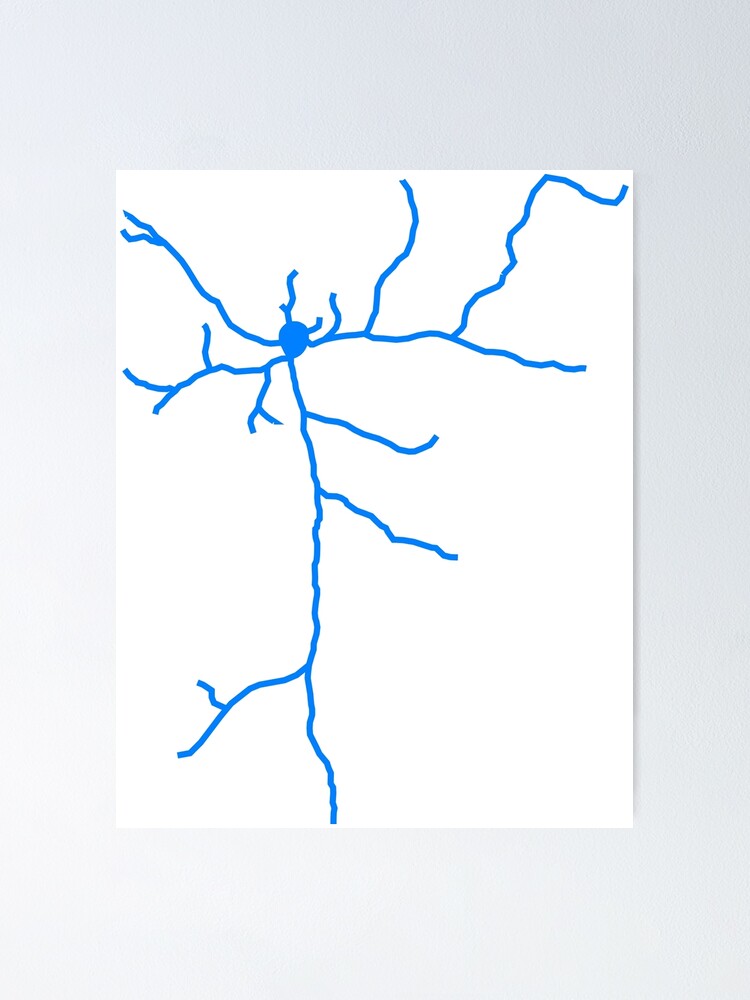 "Blue fluorescent neuron drawing" Poster by kzsg | Redbubble