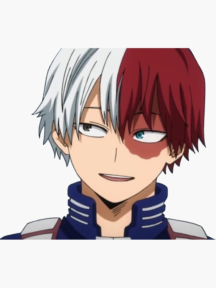 "MHA Smiling Todoroki " Sticker for Sale by rosiepowell2005 | Redbubble