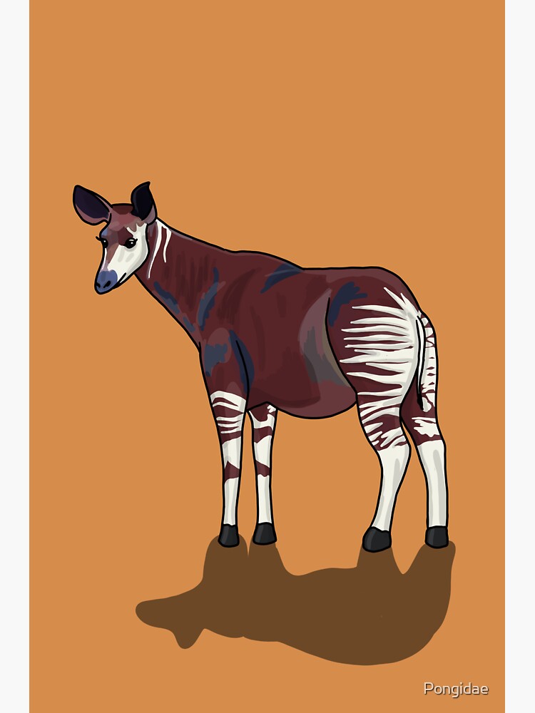 "Okapi (Okapia johnstoni)." Sticker by Pongidae | Redbubble