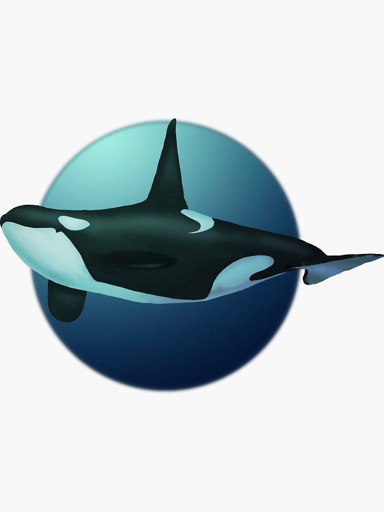 "Orca circle" Sticker for Sale by Eleanarte | Redbubble