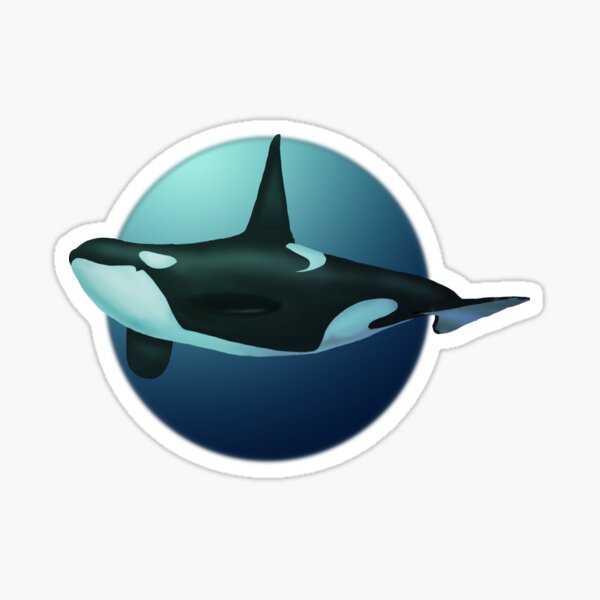 "Orca circle" Sticker for Sale by Eleanarte | Redbubble