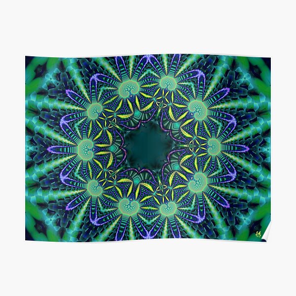 "Mandala of Insight " Poster by procyon98too | Redbubble