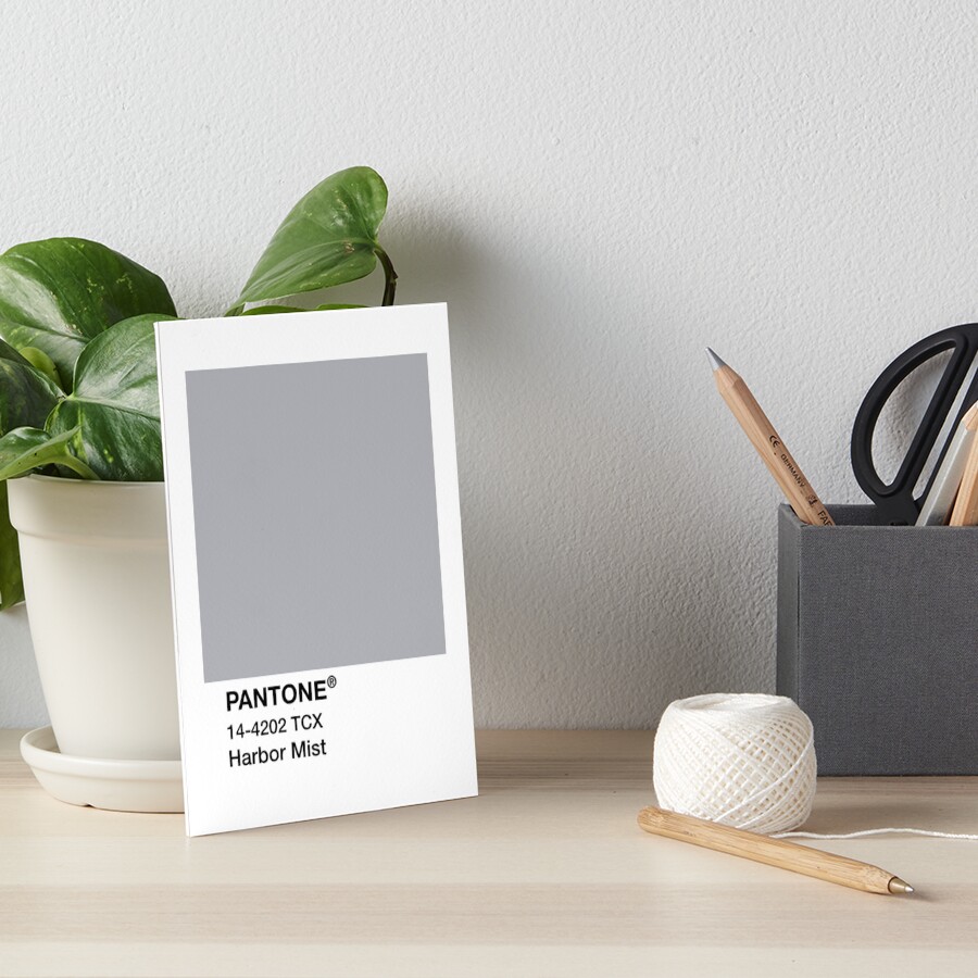 "PANTONE Harbor Mist, Gray" Art Board Print by Mushroom-Gorge | Redbubble