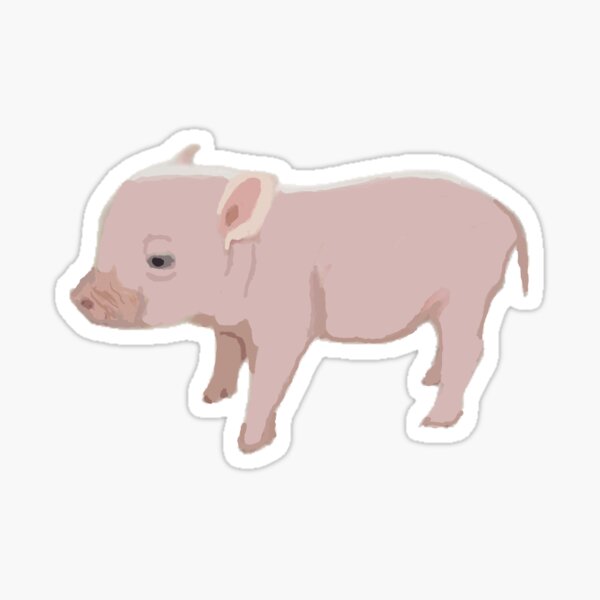 "baby pig" Sticker by ericawessels | Redbubble